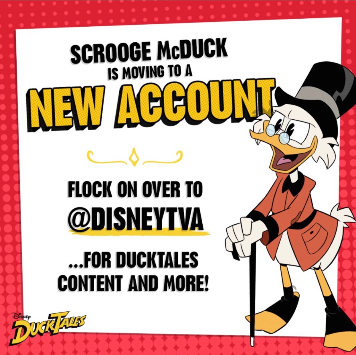 Twitter (And Instagram) Has A Few Less Ducks! – DuckTalks